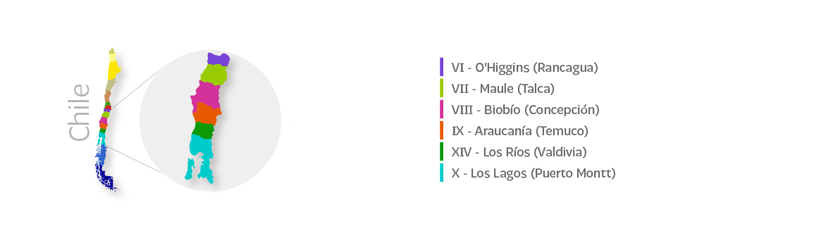 Raspberries | Fruits From Chile
