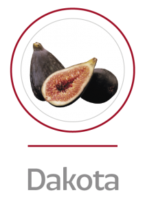 Figs | Fruits From Chile