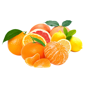 Citrus – Fruits From Chile
