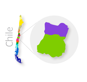Cherries | Fruits From Chile