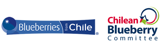 Blueberries | Fruits From Chile