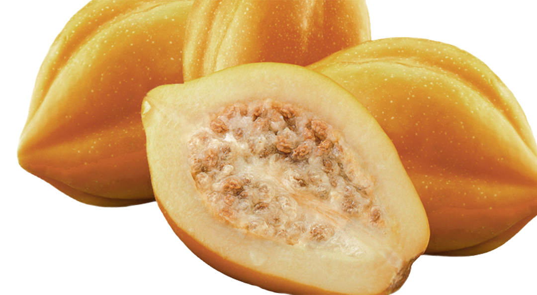 Appetizers | Fruits From Chile