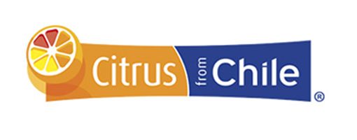 Citrus | Fruits From Chile