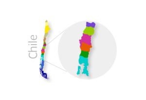 Raspberries | Fruits From Chile