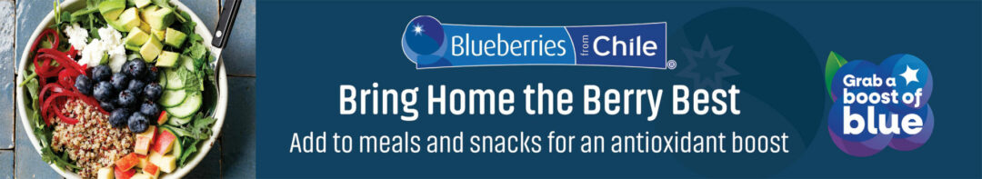 Blueberries | Fruits From Chile